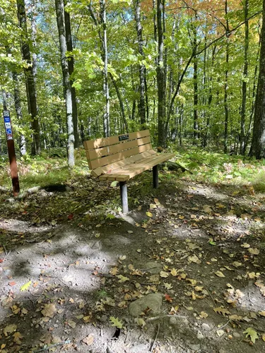 Best Hikes and Trails in Maple Hill Park | AllTrails