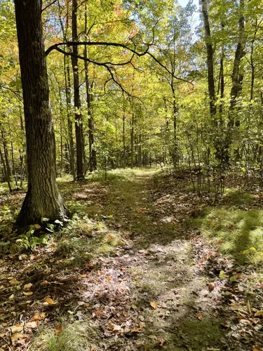 Best Hikes and Trails in Maple Hill Park | AllTrails