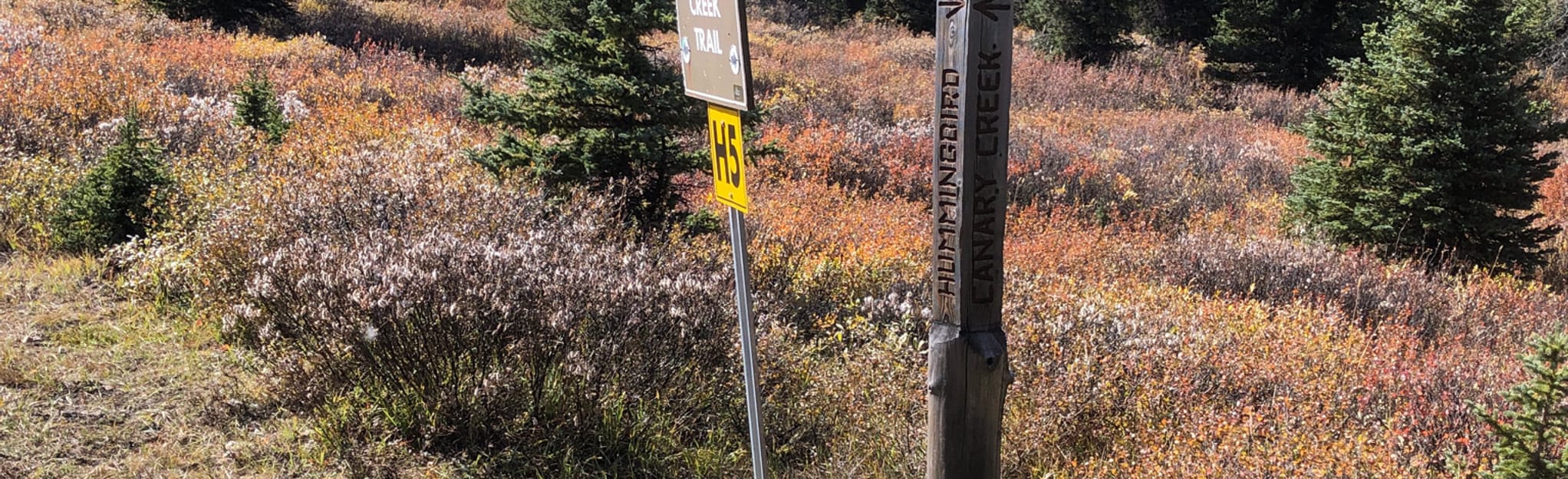 Canary Creek Trail: 21 Reviews, 3 Photos, Map - Alberta, Canada | AllTrails