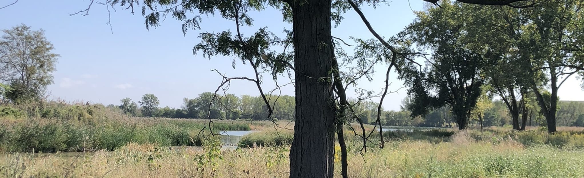 Big Marsh Trail, Illinois - 5 Reviews, Map | AllTrails