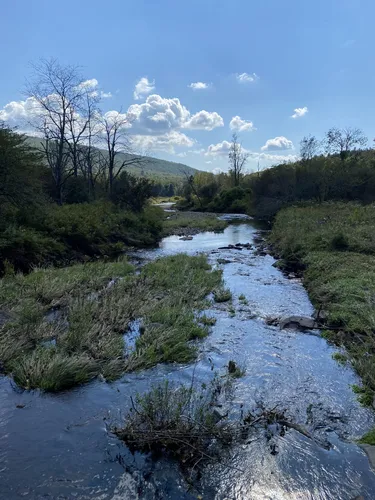 Best Hikes and Trails in Elm Ridge Wild Forest | AllTrails