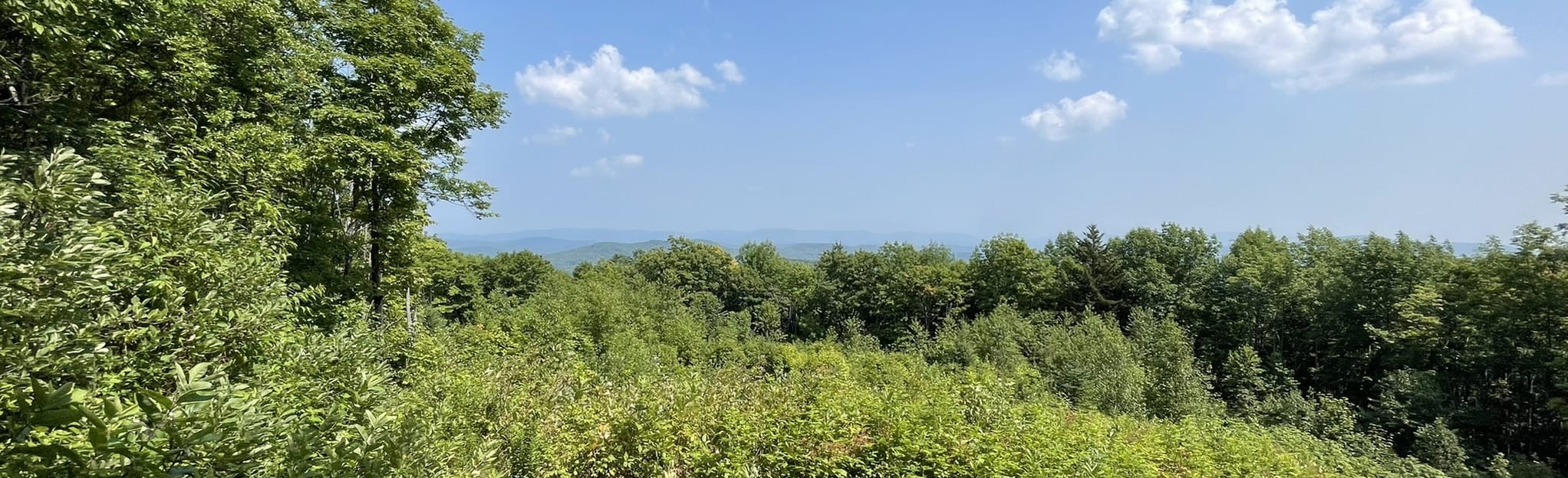 Patterson Mountain, Vermont - 6 Reviews, Map | AllTrails