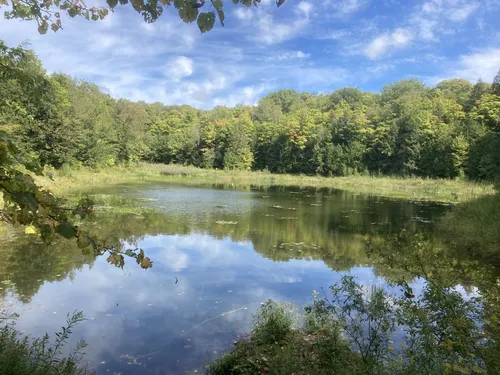 10 Best Hikes and Trails in Pretty River Valley Provincial Park | AllTrails