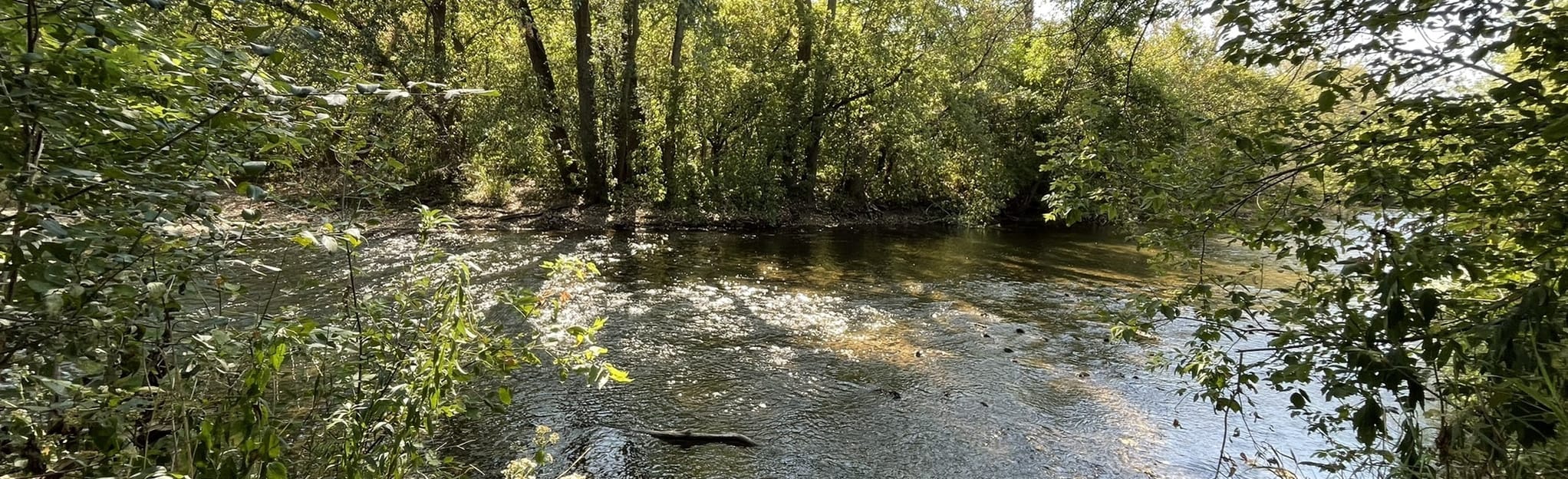 Lower Turtle Creek Trail, Wisconsin - 59 Reviews, Map | AllTrails