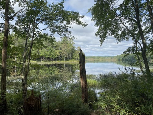 Best Hikes and Trails in Tully Lake Recreation Area | AllTrails