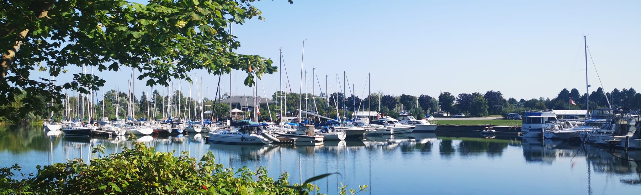 Scarborough Bluffs Trail | Mapa, Roteiro - Ontario, Canada | AllTrails