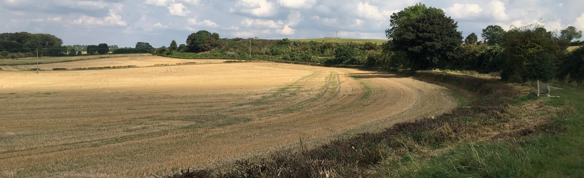 The Ridgeway: Pitstone Common and Wendover Wood Circular, Hertfordshire ...