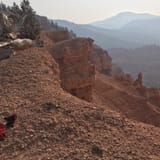 Twisted Forest, Utah - 158 Reviews, Map | AllTrails