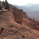 Twisted Forest, Utah - 158 Reviews, Map | AllTrails