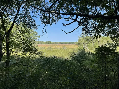 10 Best Hikes and Trails in Waterloo State Recreation Area | AllTrails