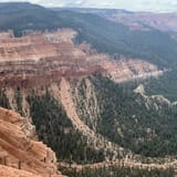 Twisted Forest, Utah - 151 Reviews, Map | AllTrails