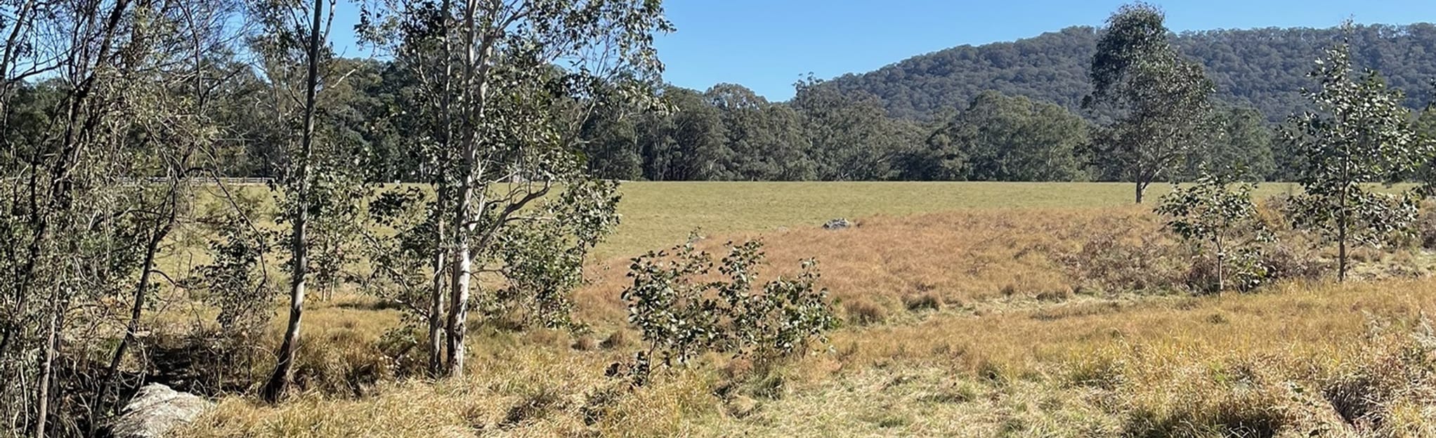 Congewai to Barraba Trig via Great North Walk: 3 Reviews, Map - New ...