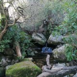 Banhoek Conservancy Waterfall Hike, Western Cape, South Africa - 129 ...