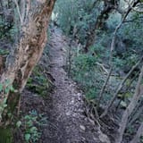Banhoek Conservancy Waterfall Hike, Western Cape, South Africa - 129 ...