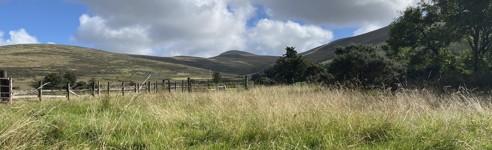 Lugnaquilla, Slievmaan, Ballineddan, and Camarahill Loop | Map, Guide ...