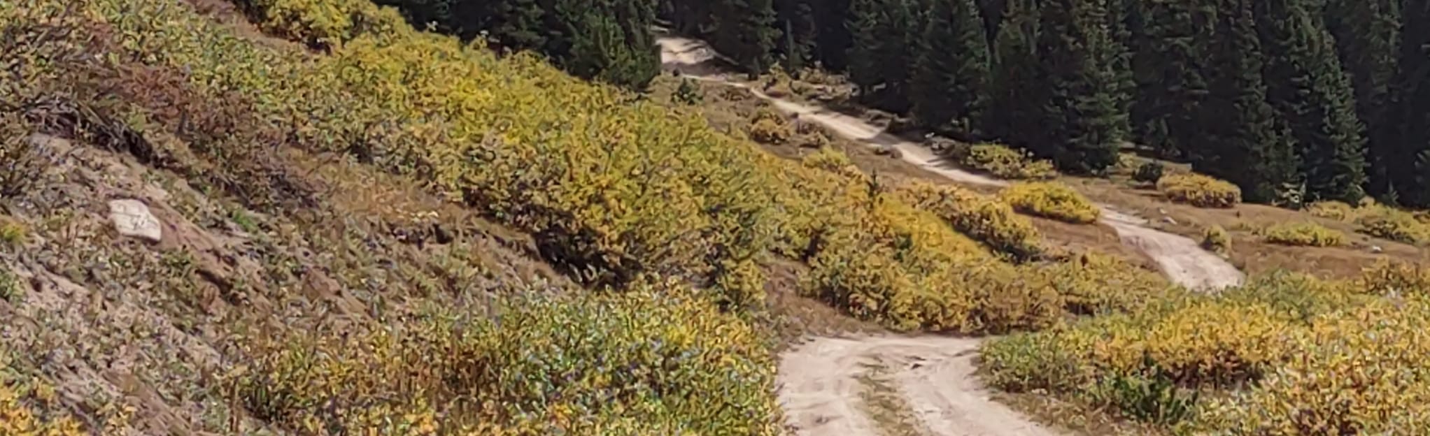 Chalk Creek, Colorado - 34 Reviews, Map | AllTrails