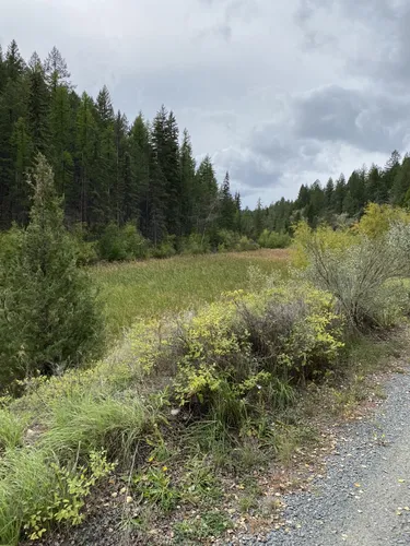 Las mejores rutas largas en Cranbrook Community Forest Recreation Site ...