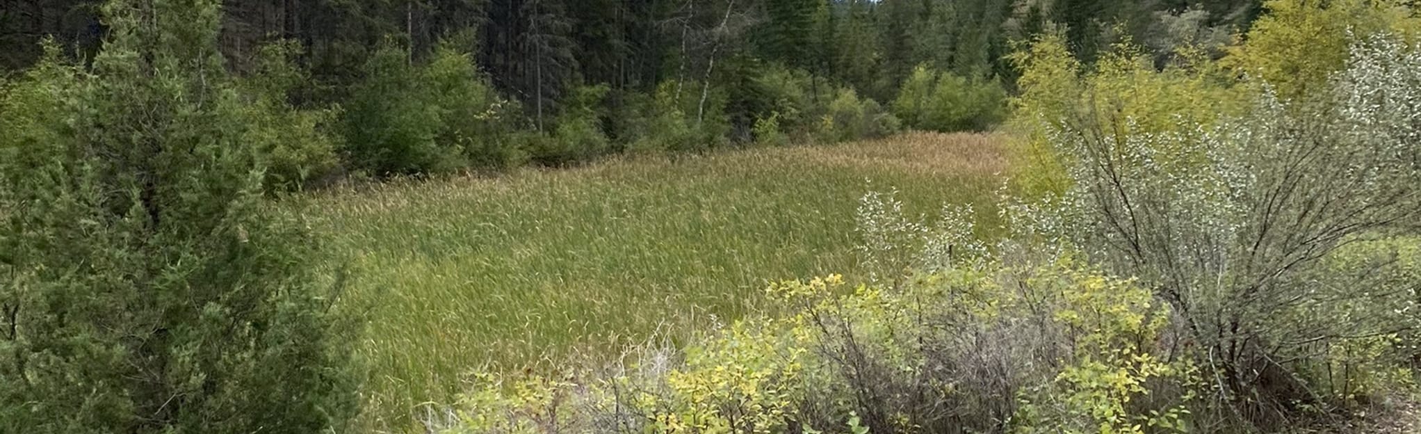 Chief Isadore Trail: Crandall to Wardner: 4 Reviews, Map - British ...