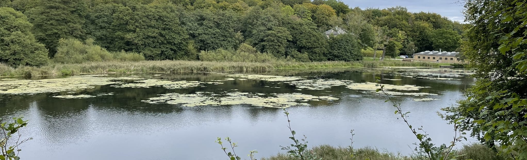 Kongens Lyngby Enghave - Charlottenlund Fort, Capital Region of Denmark ...