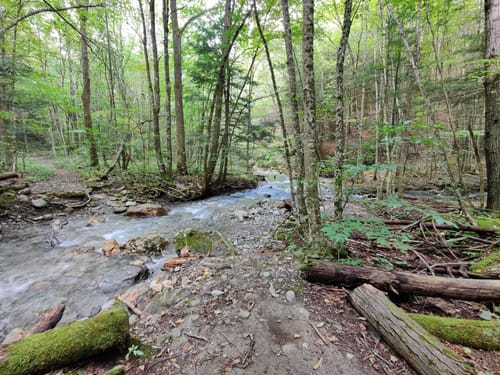 2023 Best 10 Waterfall Trails in Mount Greylock State Reservation ...