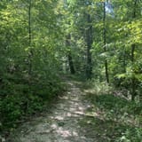Red Wing Memorial Park Loop, Minnesota - 176 Reviews, Map | AllTrails