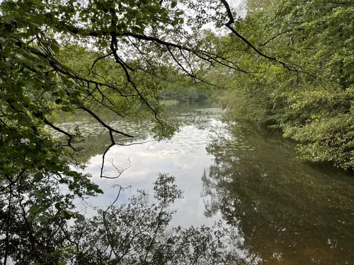 Best Trail Running Trails in Benyon's Enclosure | AllTrails