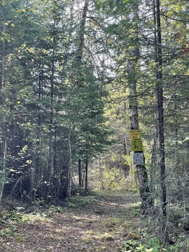 Best Hikes and Trails in Minaki | AllTrails