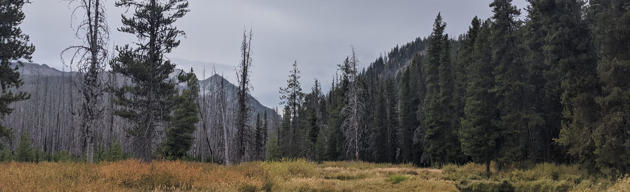 Loon Lake via Duck Lake Trail: 9 Reviews, Map - Idaho | AllTrails