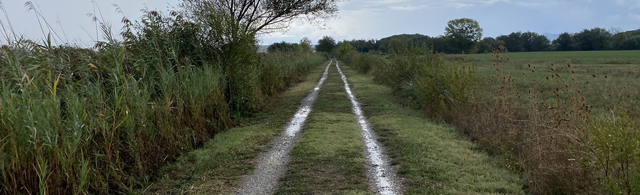 Lago di Chiusi, Tuscany, Italy - Map, Guide | AllTrails