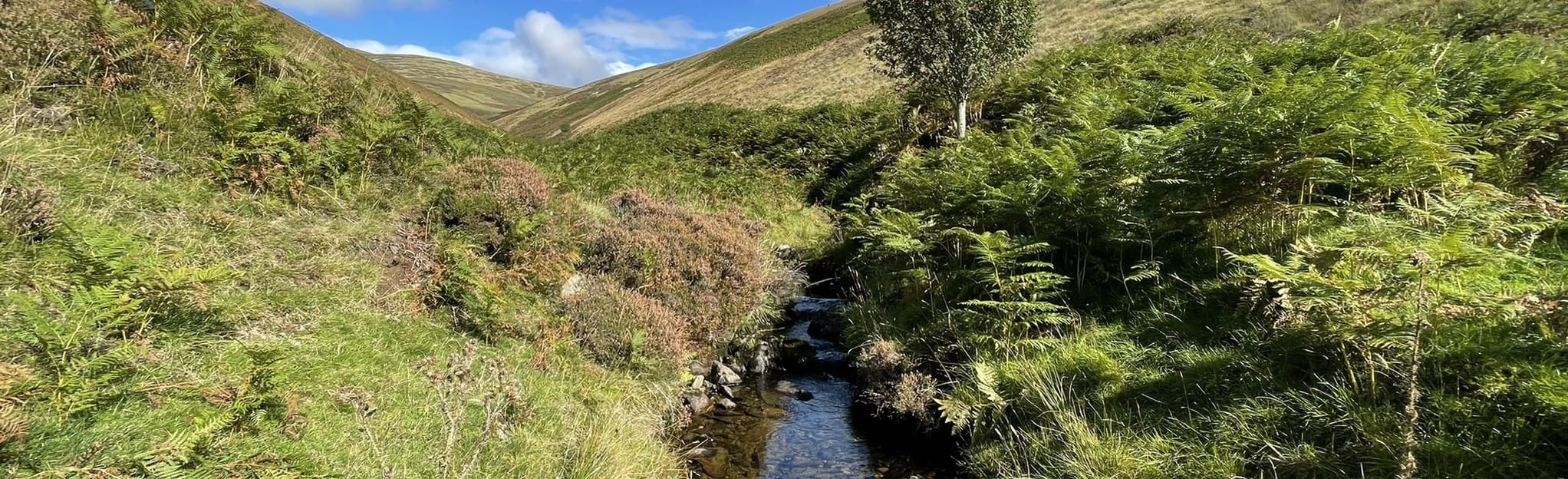 Culter Fell, Moss Law and Culter Water Head Circular: 12 Reviews, Map ...