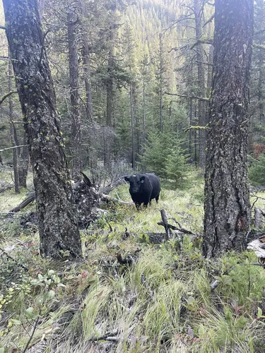 Best Hikes and Trails in Marble Range/Edge Hills Provincial Park ...