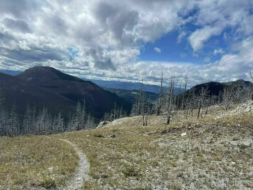 Best Camping Trails in Thompson-Nicola E | AllTrails