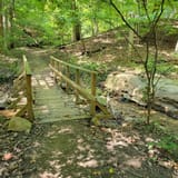 Glover-Archbold Trail, District of Columbia - 381 Reviews, Map | AllTrails