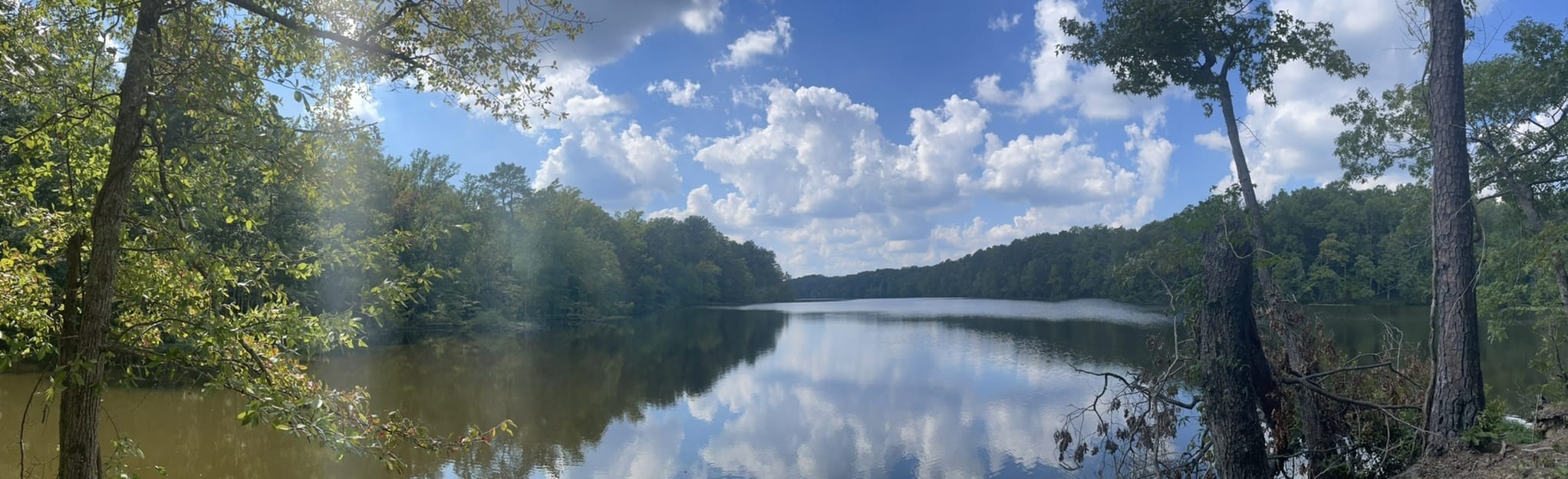 Lakeview MTB Loop 1, 2, and 3, Virginia - 85 Reviews, Map | AllTrails