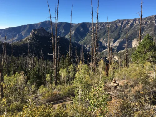 10 Best Hikes and Trails in Spring Mountains National Recreation Area ...