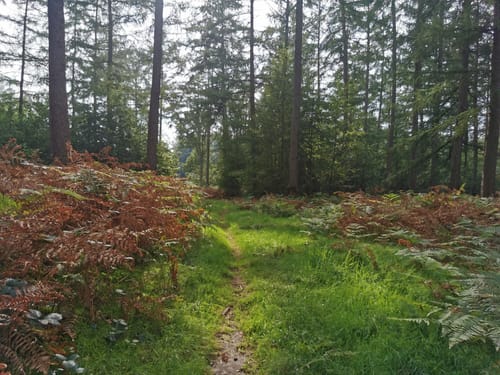 Parc naturel des Plaines de l'Escaut : les 10 meilleures randonnées et ...