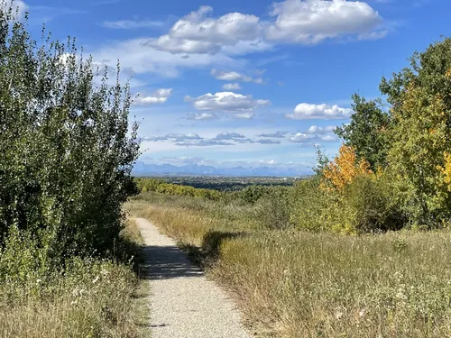 10 Best Hikes and Trails in Nose Hill Park | AllTrails