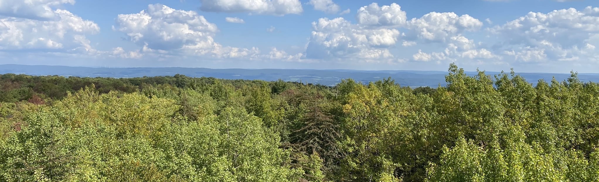 Mount Davis Pennsylvania Highpoint Trail, Pennsylvania - 640 Reviews ...