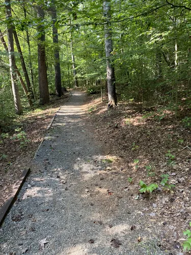 Best Hikes and Trails in Tuttle Educational State Forest | AllTrails