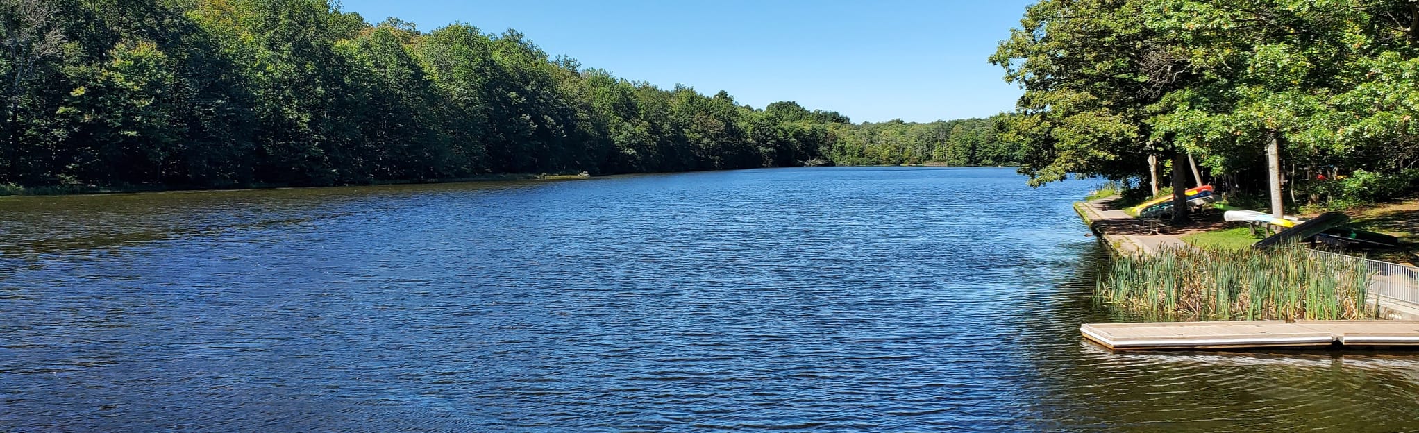 Lenape Trail and Boone Trail Loop: 372 Reviews, Map - Pennsylvania ...