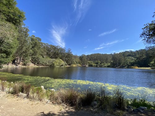 2023 Best 10 Trails and Hikes in Berkeley | AllTrails