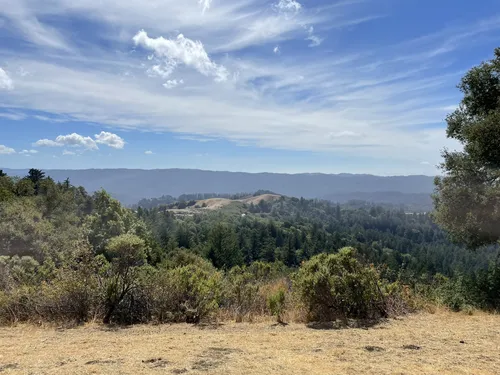 Best Hikes and Trails in Russian Ridge Open Space Preserve | AllTrails