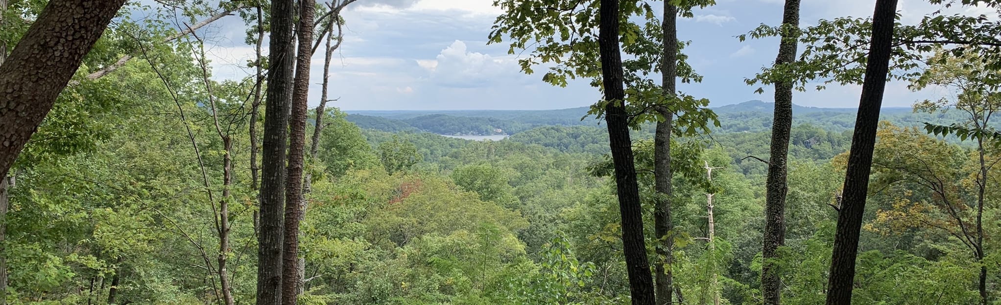 Rumbling Bald Loop Trail: 522 Reviews, Map - North Carolina | AllTrails