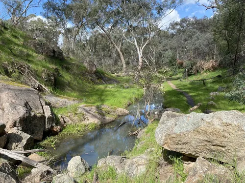 10 Best Hikes and Trails in Warby-Ovens National Park | AllTrails