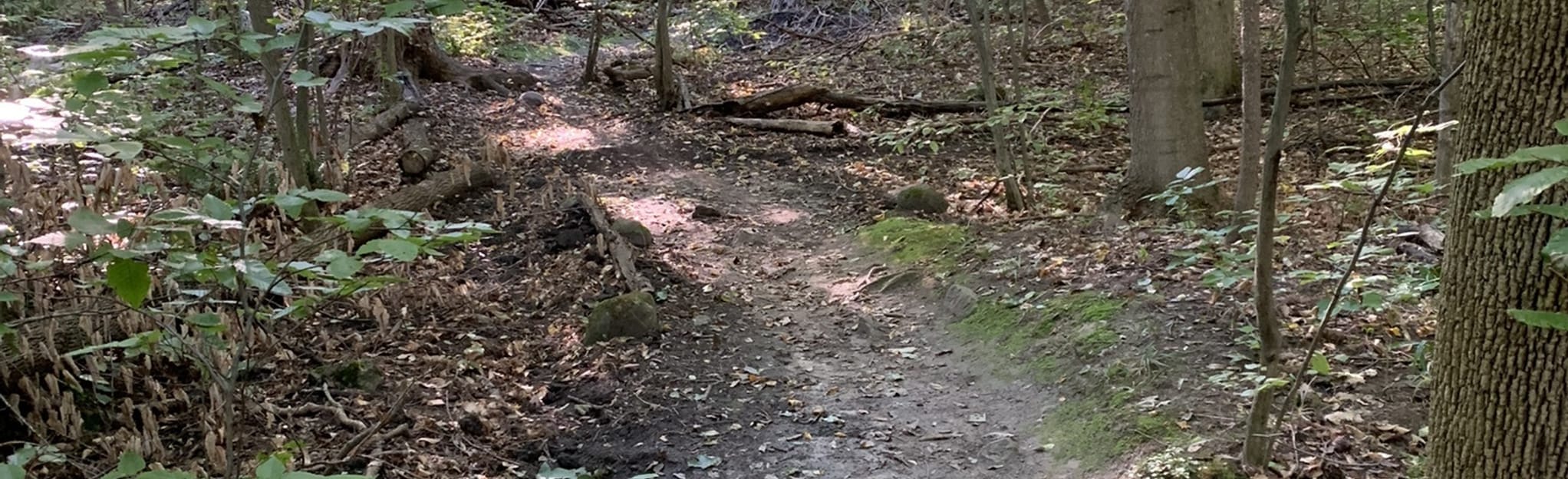 South Flow - Lazy Train - Granite Planet - Bedrock Road: 13 Reviews ...