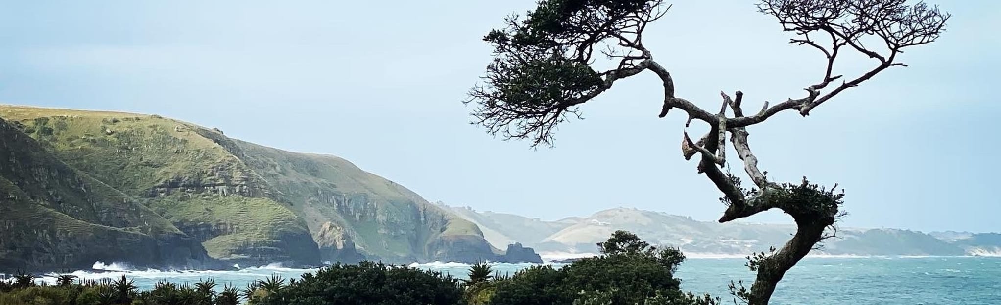 Mapuzi Cliffs & Caves, Eastern Cape, South Africa - 12 Reviews, Map ...