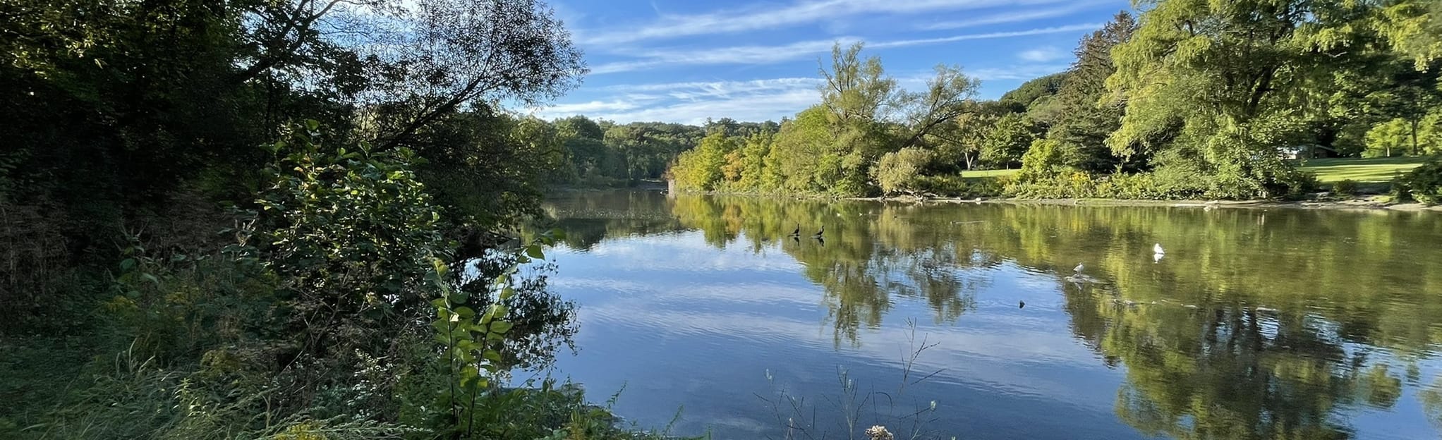 Humber River Recreational Trail - Home Smith Park - Etienne Brulé Park ...