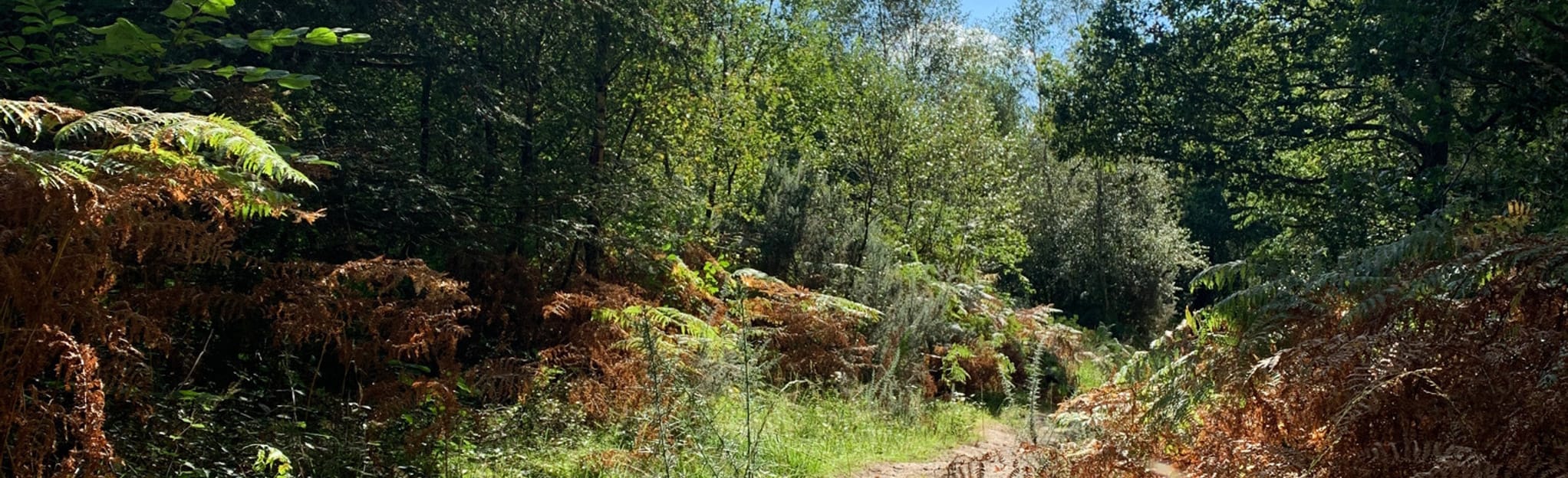 Southwick and Denmead Circular, Hampshire, England - 28 Reviews, Map ...