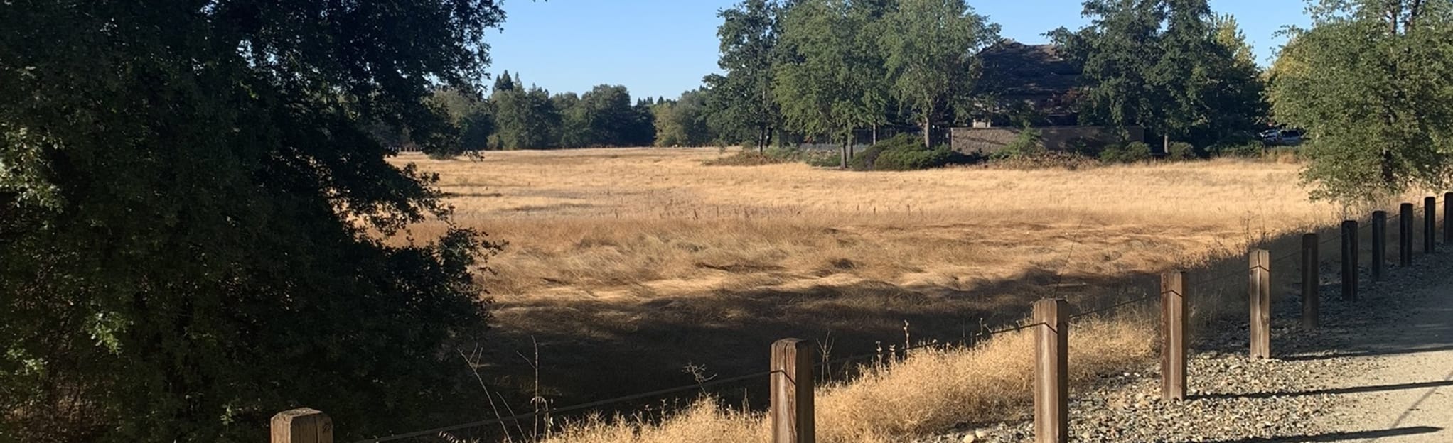 Humbug Willow Creek Trail, California - 487 Reviews, Map | AllTrails