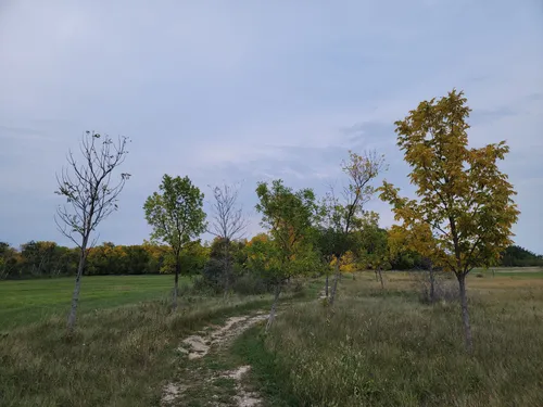 Best Hikes and Trails in Lundar Beach Provincial Park | AllTrails